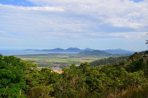 Cairns Weather in July | Down Under Tours | Down Under Tours
